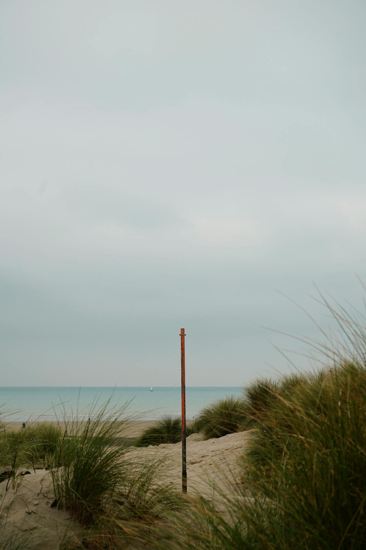 Danger of Rising Sea Levels - Water Lovers